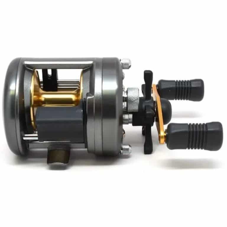 Carretilla Shimano Corvalus CVL-300 – PC Survival Shop